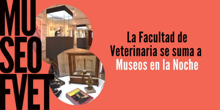 FVET se suma a Museos en la Noche : Facultad de Veterinaria